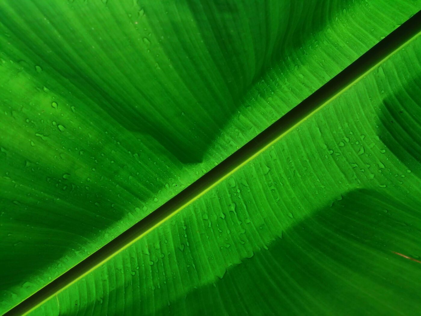 Cintas adhesivas técnicas - Soluciones personalizadas - ADESIA